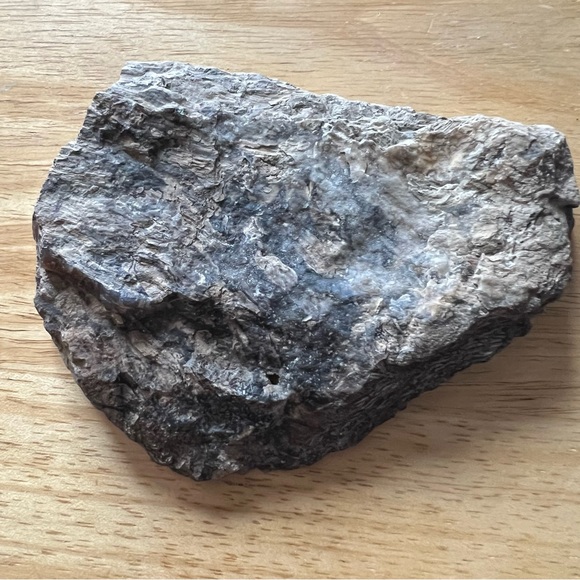 Accents | Rare Natural Palm Root Fossil Stone Slab Rock Crystal | Poshmark